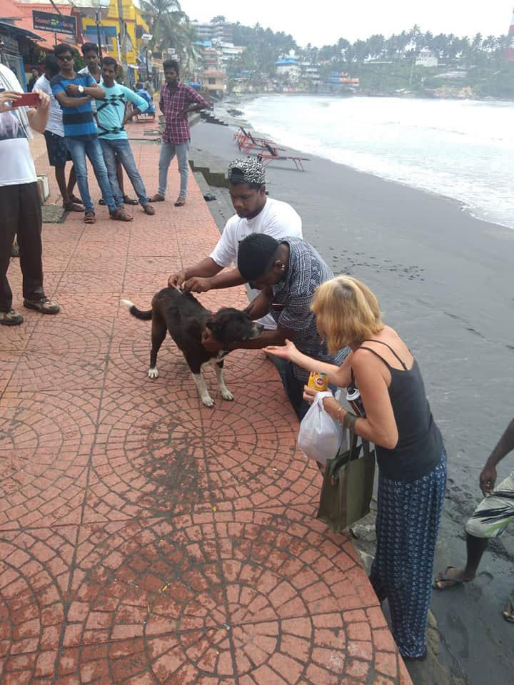 A documentary and a rabies drive – Street Dog Watch Association